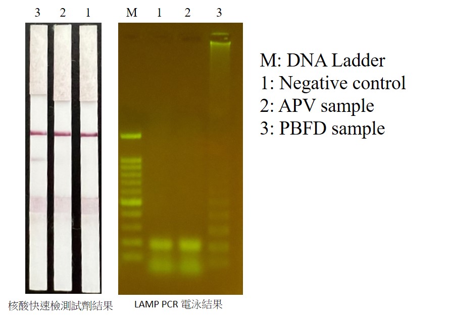 萬能生物科技有限公司